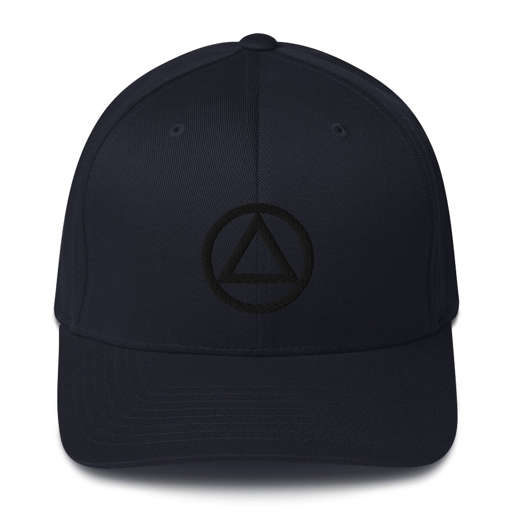AA circle triangle black logo sober recovery rehab graduation birthday ...